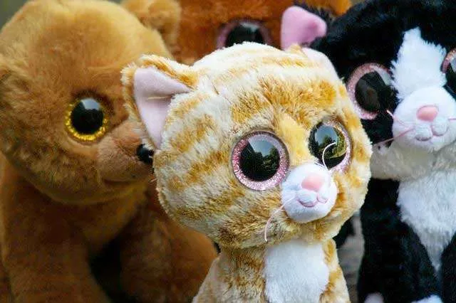 Glubschi Katze - kuscheltier-lieblinge.de